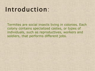 Termite: the most potent biodeteriogen | PPT