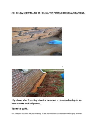 Termite control | PDF