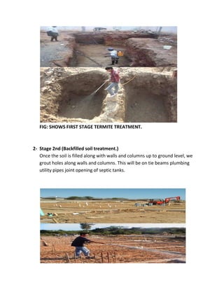 Termite control | PDF