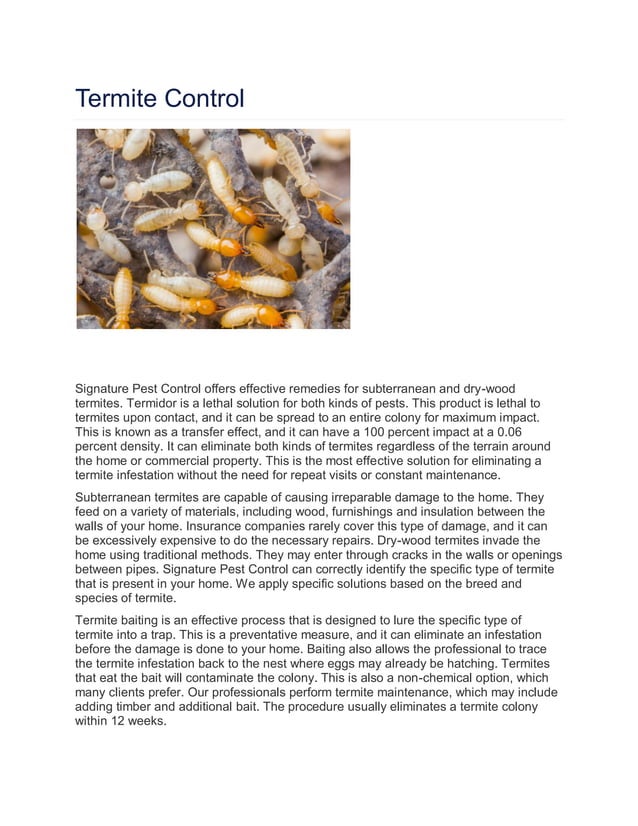 Termite control | PDF