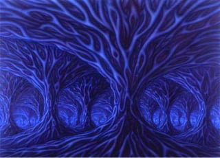 Termite Geometry | PPT