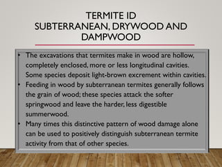 Termite ID Subterranean Drywood and Dampwood.pdf