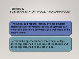 Termite ID Subterranean Drywood and Dampwood.pdf