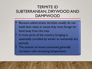 Termite ID Subterranean Drywood and Dampwood.pdf