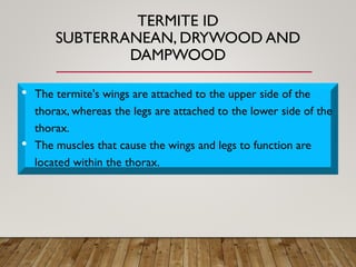 Termite ID Subterranean Drywood and Dampwood.pdf
