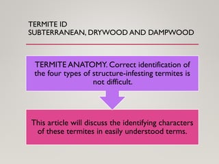 Termite ID Subterranean Drywood and Dampwood.pdf