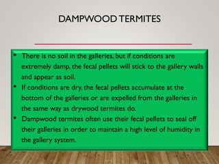 Termite ID Subterranean Drywood and Dampwood.pdf