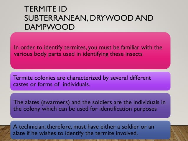 Termite ID Subterranean Drywood and Dampwood.pdf