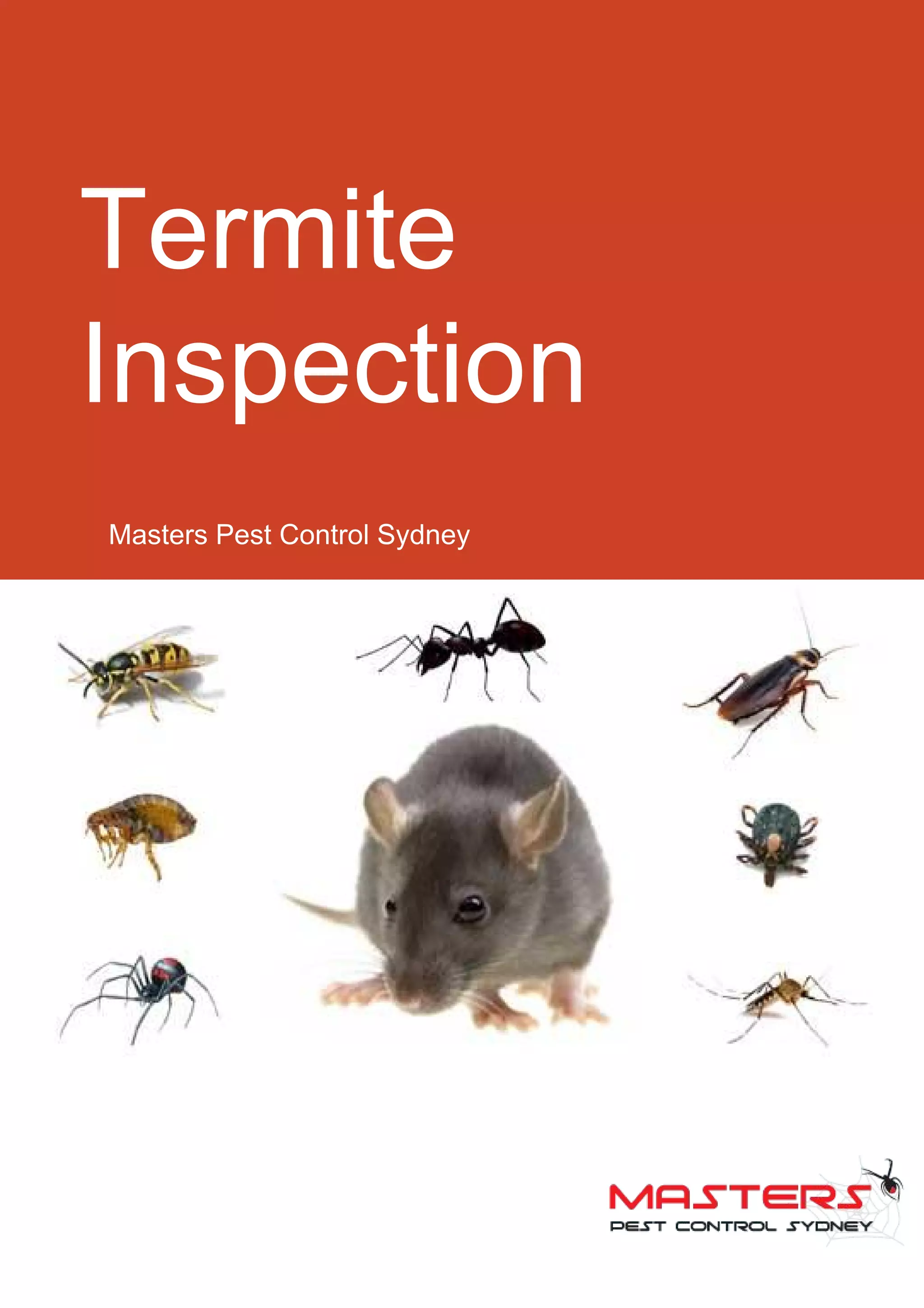 Termite inspection | PDF