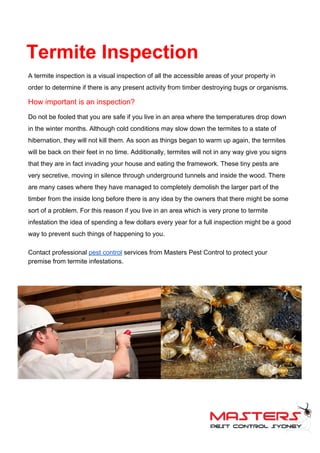 Termite inspection | PDF