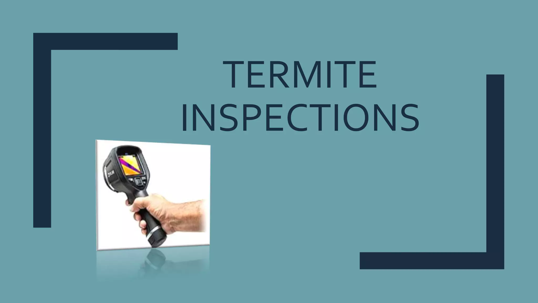 Termite inspections | PPTX