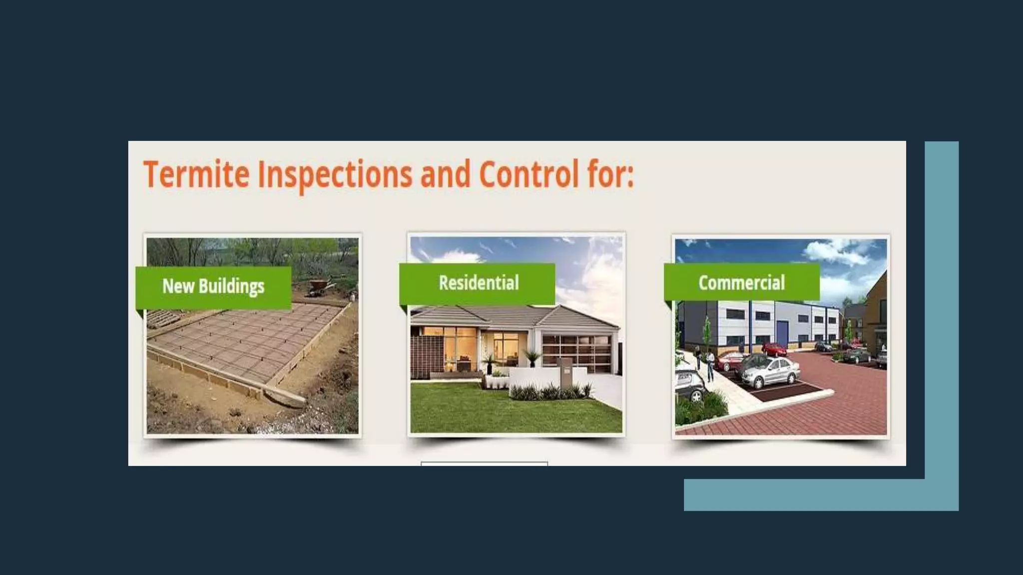 Termite inspections | PPT