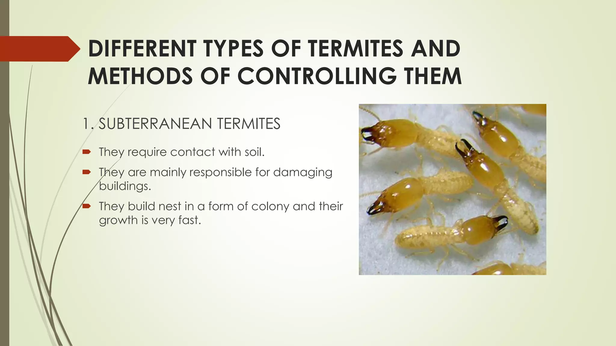 Termite proofing materials | PPTX