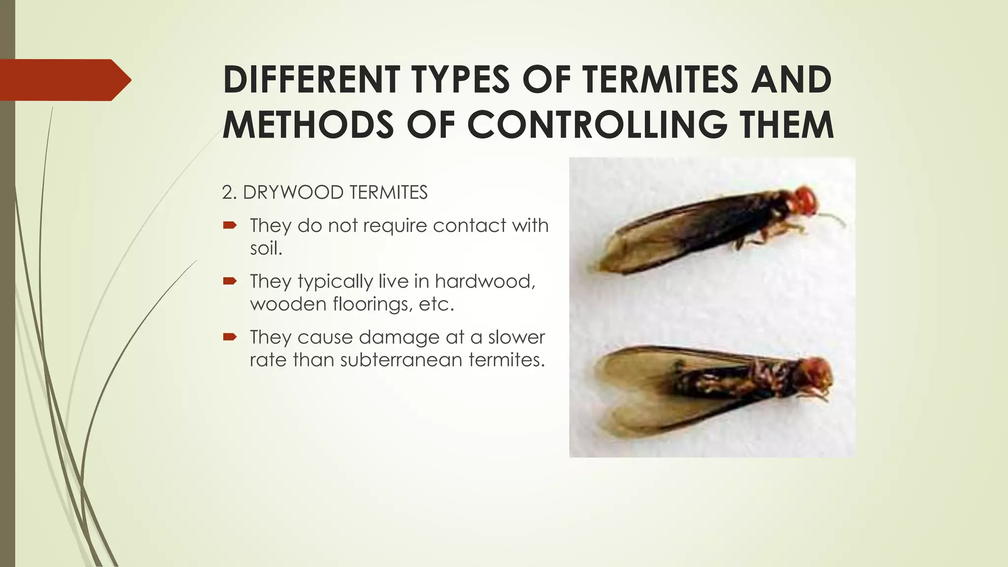 Termite proofing materials | PPTX