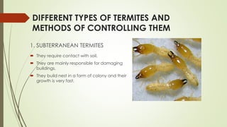 Termite proofing materials | PPTX