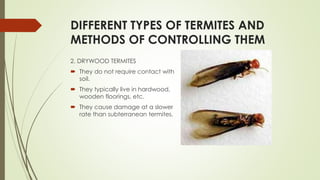 Termite proofing materials | PPTX