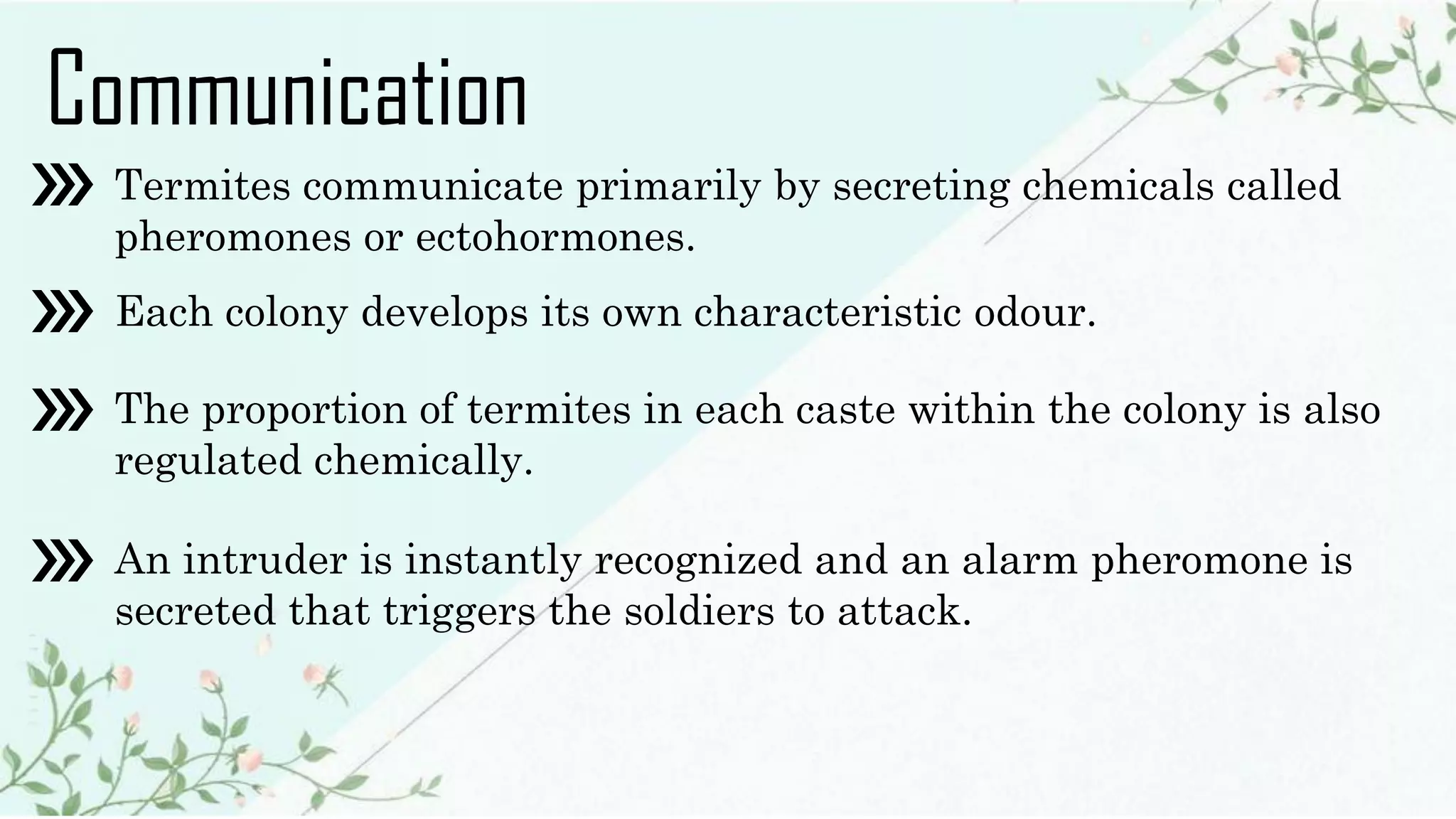 Termites colony and society | PDF