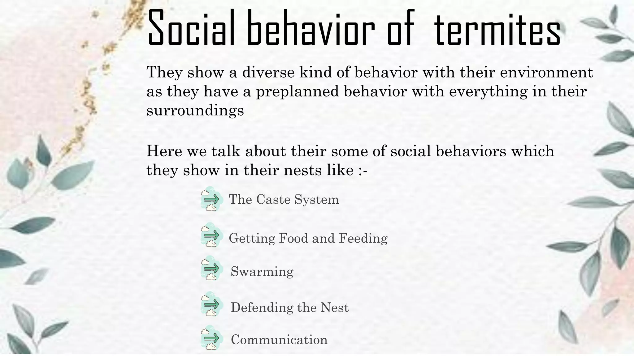 Termites colony and society | PDF