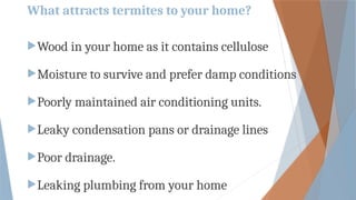 Termites and why it is important to control.pptx