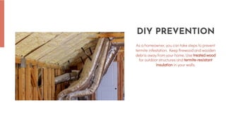 Termites: The Silent Destroyers and How to Combat Them | PDF