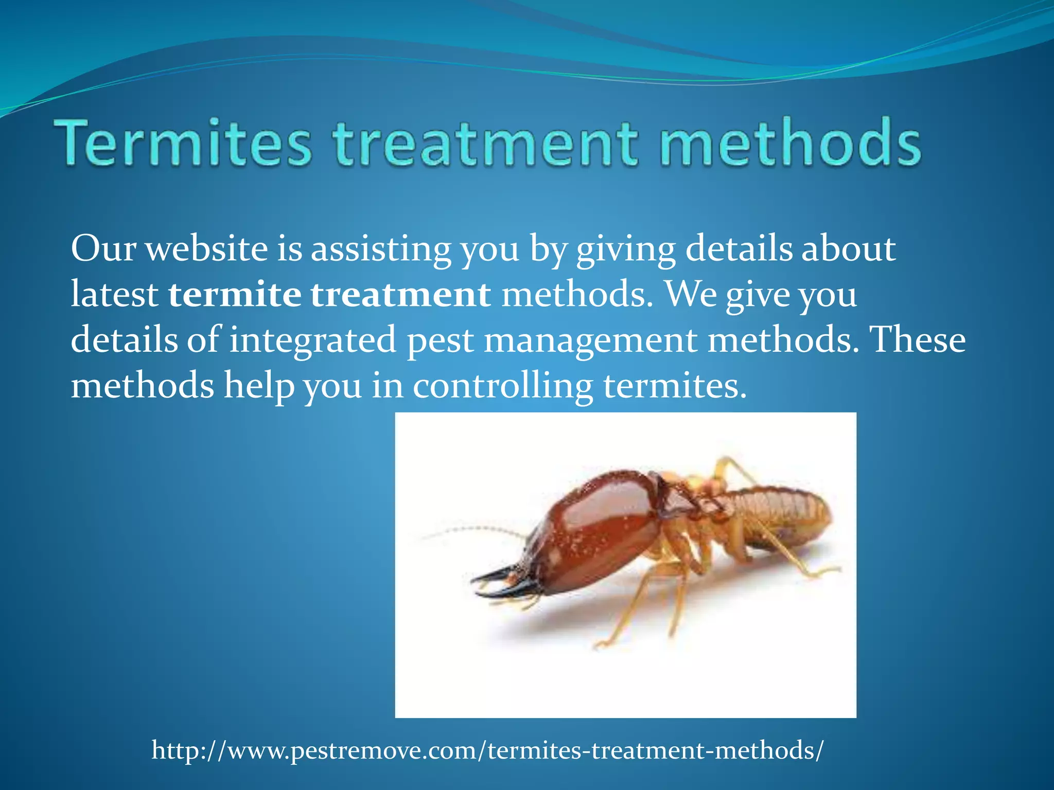 Termites treatment methods | PPTX