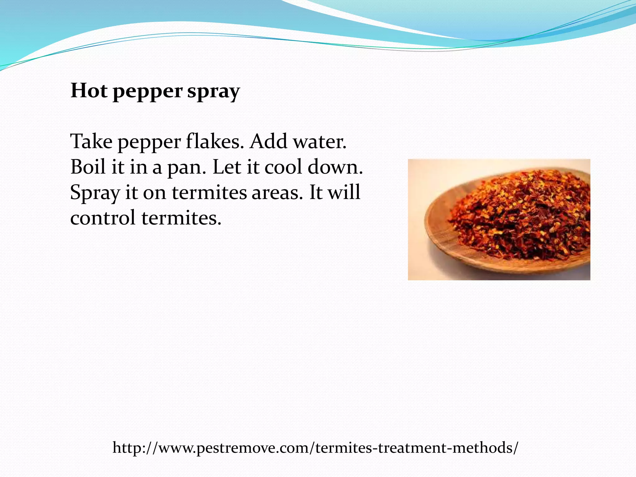Termites treatment methods | PPTX