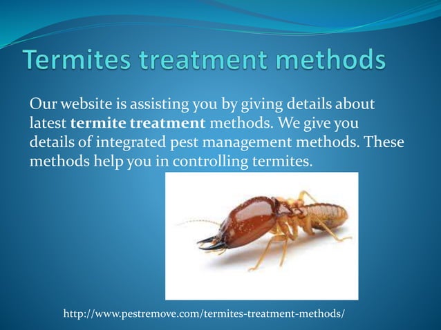 Termites treatment methods | PPTX | Deodorant and Antiperspirant ...