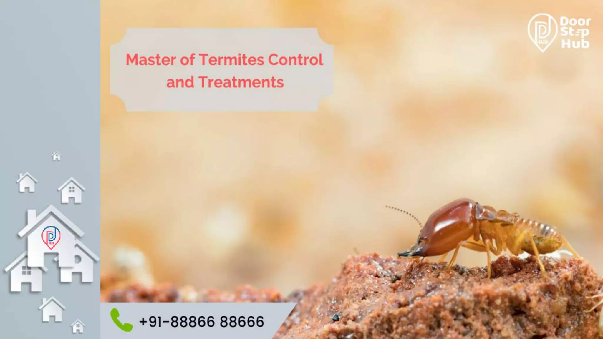Termite treatment methods | PPTX | Gardening | Home & Garden