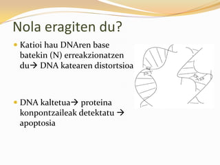 KOORDINAZIO KONPOSATUAK | PPT