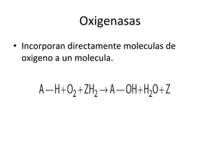 Termodinamica Bioquimica | PPT