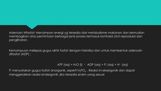 Termodinamika ATP Kimia Fisika Universitas.pptx
