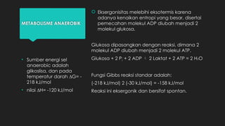 Termodinamika ATP Kimia Fisika Universitas.pptx