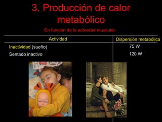 Termofisiología del cuerpo humano | PPT