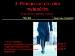 Termofisiología del cuerpo humano | PPT