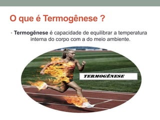 Termogeneses | PPT