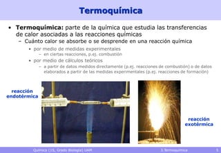 Termoquimica | PPTX