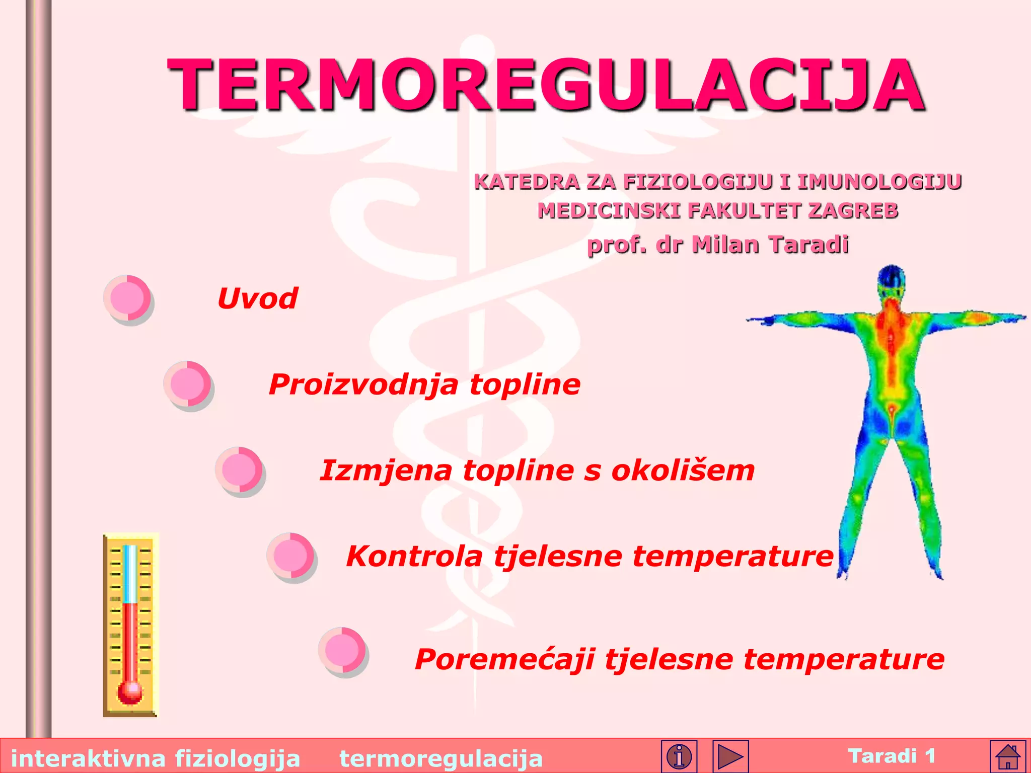 Termoregulacija | PPT