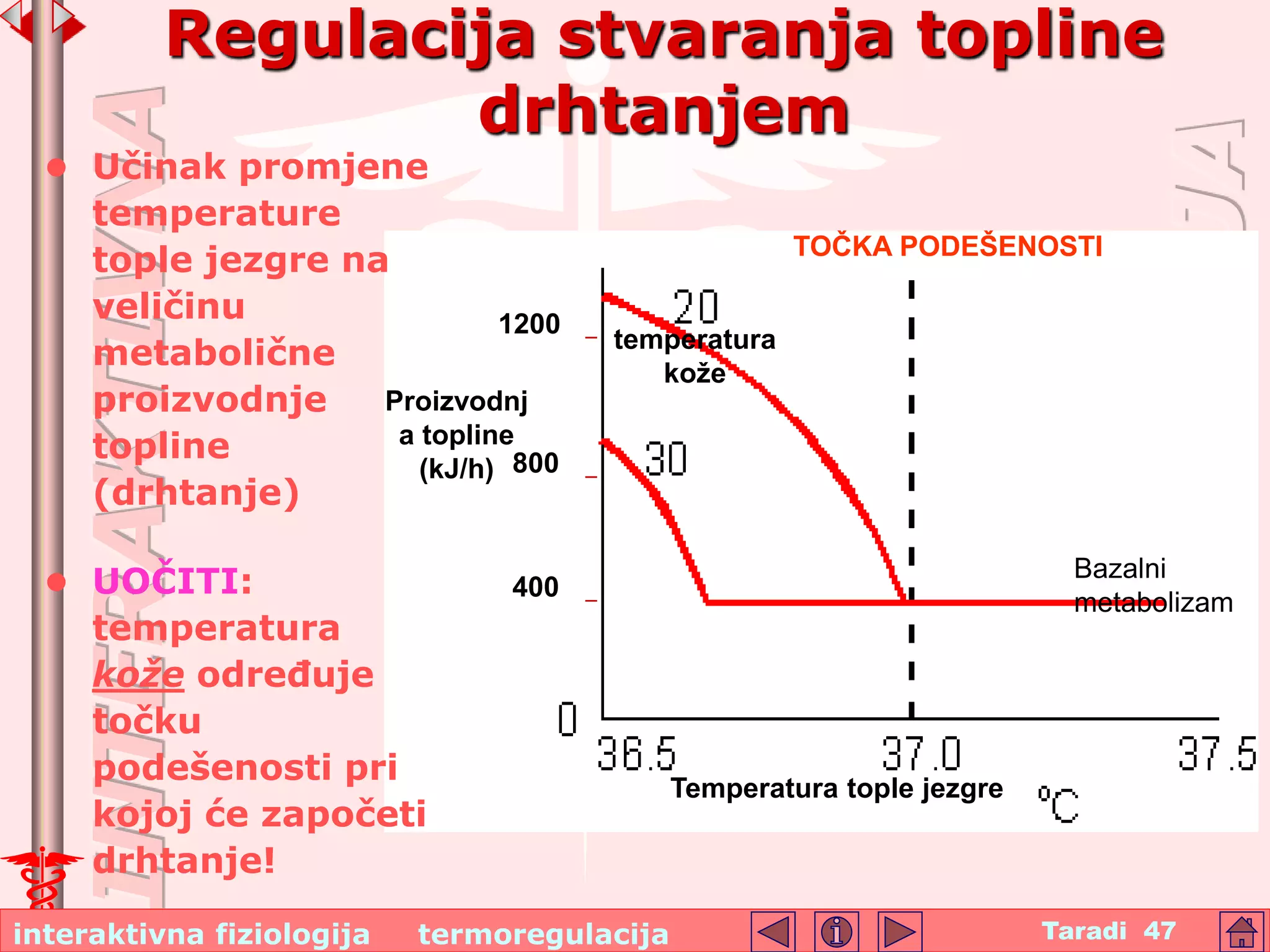 Termoregulacija | PPT