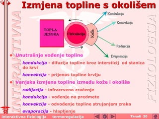 Termoregulacija | PPT