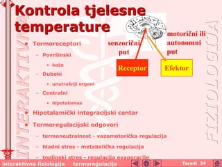 Termoregulacija | PPT