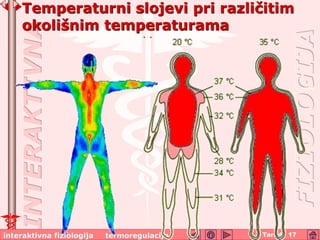 Termoregulacija | PPT