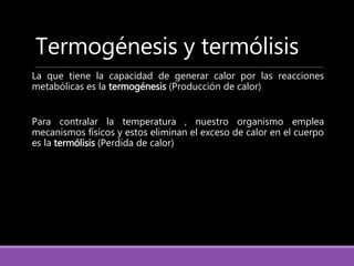 Termorregulación | PPT