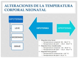 Termorregulación Neonatal | PPTX