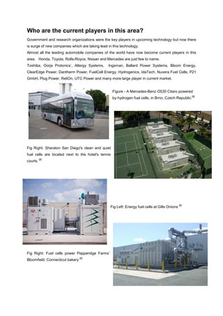 Term paper Hydrogen Fuel Cell | PDF