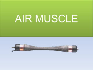 Air Muscles:-The Neo Pneumatic Actuators | PPTX