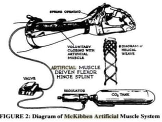 Air Muscles:-The Neo Pneumatic Actuators | PPTX