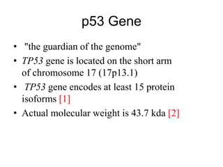 Role of p53 gene | PPTX