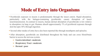 Structure and mode of action of synthetic Pyrethroids | PPTX | Chemistry | Science