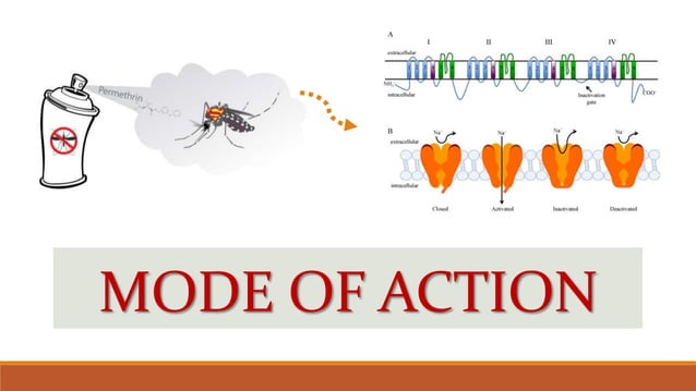 Structure and mode of action of synthetic Pyrethroids | PPTX | Chemistry | Science