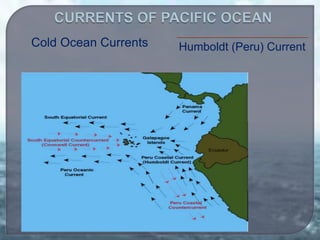 Major Oceanic Currents of the World | PPT